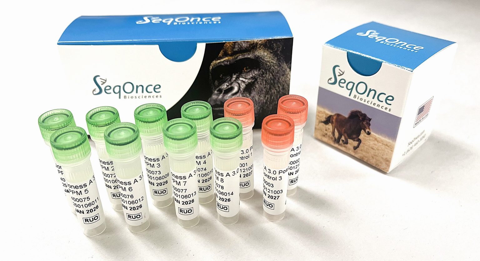 Lioness UT Microbiota Panel A | Comprehensive Urinary Tract Microbiome Test