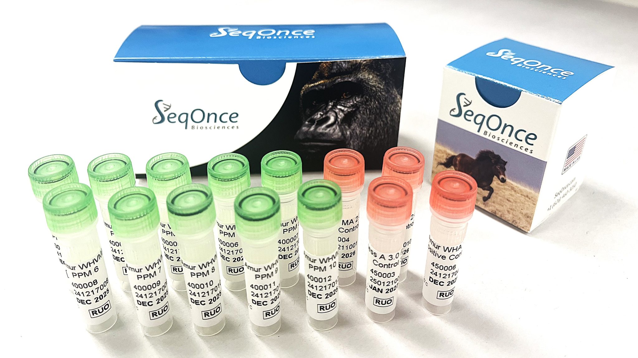 Amur WH Vaginal Microbiota Panel A | qPCR Detection of Vaginal Microbiota